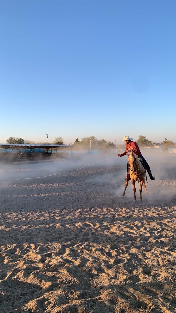 WILDCAT RANCH - Updated August 2025 - 64 Photos - 2148 E Desert Ln ...