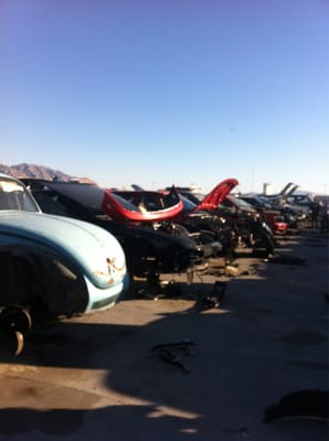 NEVADA PIC A PART - Updated January 2026 - 53 Photos & 68 Reviews ...