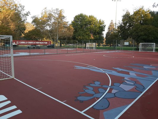 NORTHGATE PARK - Updated October 2024 - 48 Photos - 2825 Mendel Way ...