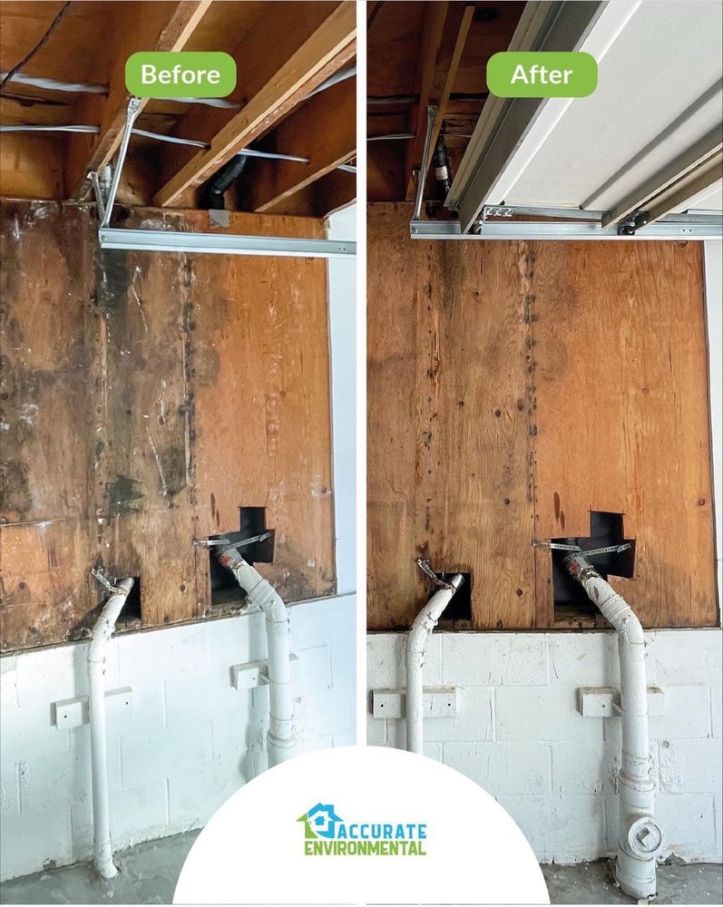 ACCURATE ENVIRONMENTAL - Updated December 2025 - 11 Photos & 27 Reviews ...