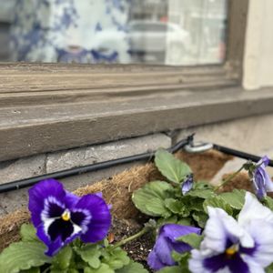 LEARNED OWL BOOK SHOP - Updated June 2025 - 29 Photos & 21 Reviews ...