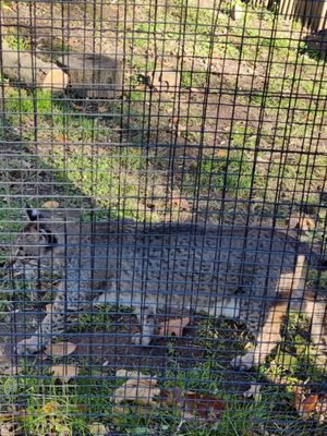 BRANDYWINE ZOO - 117 Photos & 55 Reviews - 1001 N Park Dr, Wilmington ...