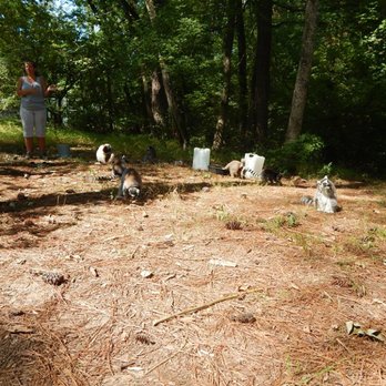 Duke University Lemur Center - 157 Photos & 67 Reviews - Zoos - 3705 ...