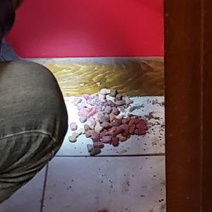 KIMBLE COMPANIES - Updated November 2024 - 16 Photos & 45 Reviews ...