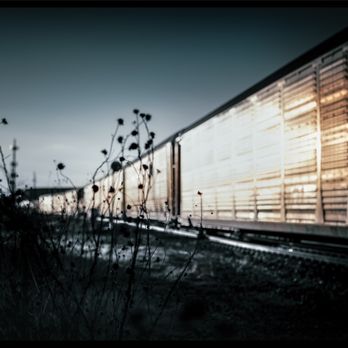 HOUSTON CAMERA EXCHANGE - Updated December 2025 - 44 Photos & 153 ...