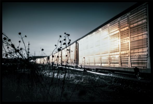 HOUSTON CAMERA EXCHANGE - Updated December 2025 - 44 Photos & 153 ...