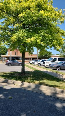 BENTONVILLE PUBLIC LIBRARY - Updated December 2025 - 72 Photos - 405 S ...