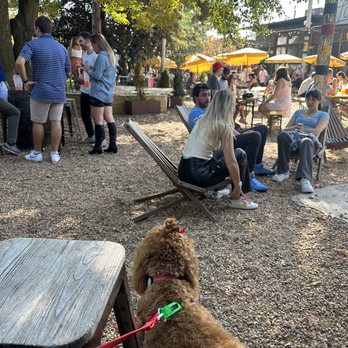 LADYBIRD GROVE & MESS HALL - New American Restaurant at 684 John Wesley ...