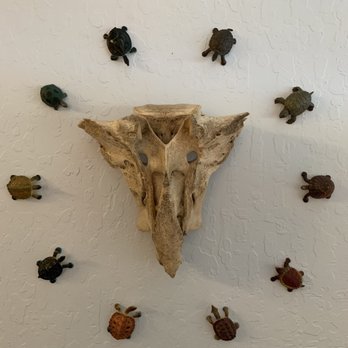 DAVID RITTINGER, DC - Updated January 2025 - Oakland, California ...