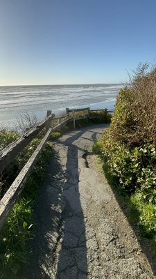 TREE OF LIFE - Updated November 2024 - 49 Photos & 18 Reviews - 101 Old ...