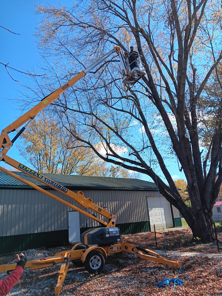 EMILY VANEK - Request a Quote - Anderson, Indiana - Tree Services ...