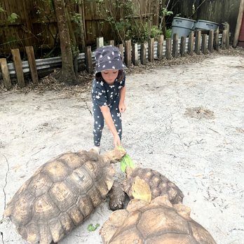 CROC ENCOUNTERS - Updated December 2025 - 316 Photos & 154 Reviews ...