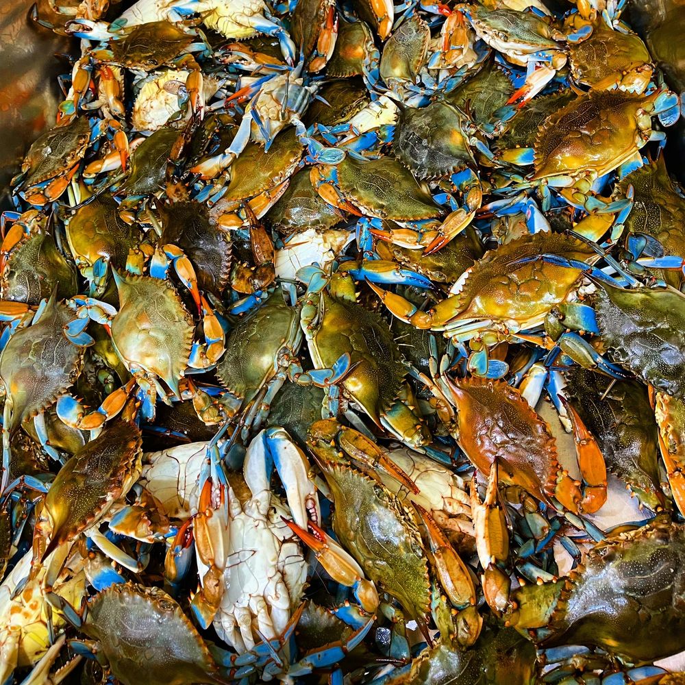 VIET HOA FOOD MARKET - Updated July 2025 - 177 Photos & 55 Reviews - 40 ...