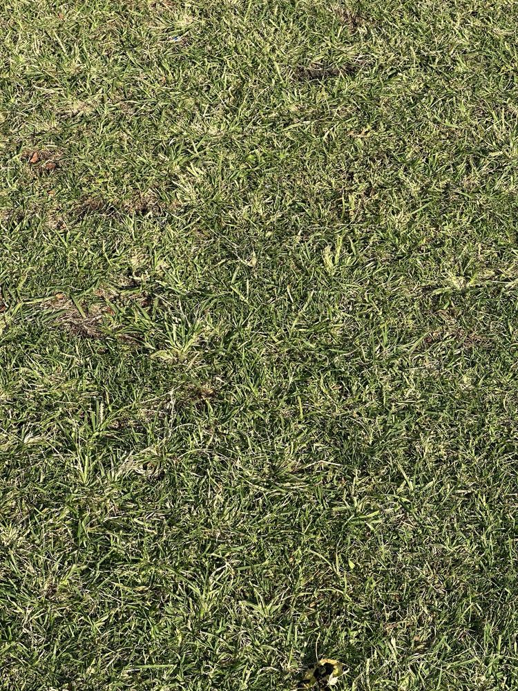 BURNHAM WOODS GOLF COURSE - Updated January 2026 - 15 Photos & 10 ...