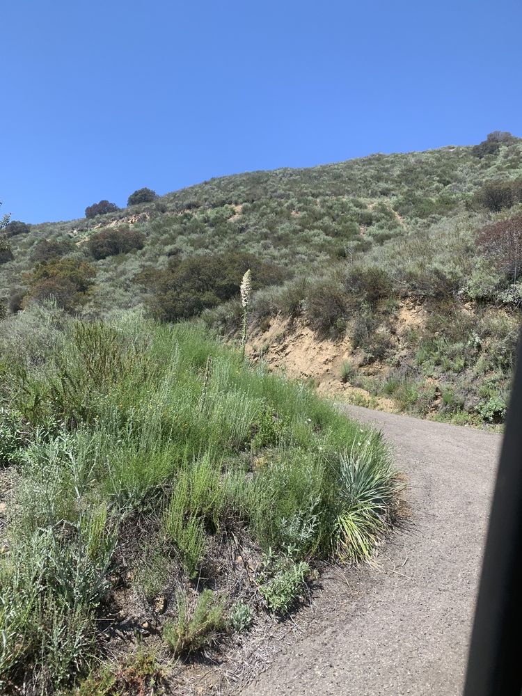 HARRISON SERENITY RANCH - Updated May 2024 - 65 Photos - 18187 Nate ...