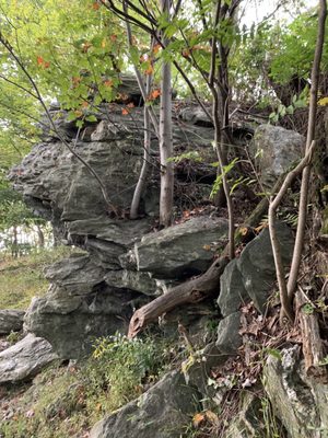 GAMBRILL STATE PARK - 58 Photos & 22 Reviews - Gambrill Park Rd ...