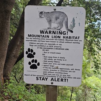 POGONIP - Updated January 2026 - 234 Photos & 42 Reviews - 333 Golf ...