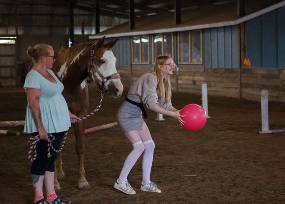 DAISY MEADOWS EQUESTRIAN - Updated January 2026 - 6095 Dickenson Rd E ...