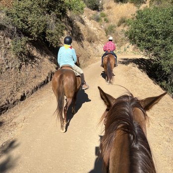 CIRCLE K RIDING STABLES - Updated September 2024 - 192 Photos & 273 ...