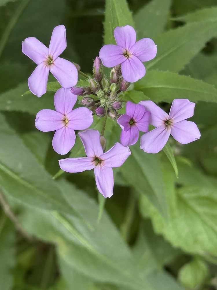 DAYBREAK REGIONAL PARK AND BOAT LAUNCH - Updated August 2025 - 26401 NE ...