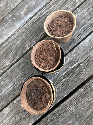 GURNEY’S SEED & NURSERY - 36 Photos & 203 Reviews - Greendale, IN - Yelp