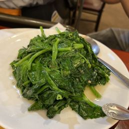 MANDARIN KITCHEN - Updated August 2025 - 746 Photos & 511 Reviews ...