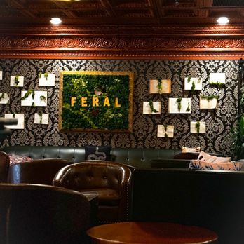 FERAL KITCHEN & LOUNGE - Updated May 2025 - 115 Photos & 44 Reviews ...