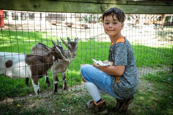 WISCONSIN DEER PARK - Updated December 2024 - 242 Photos & 130 Reviews ...