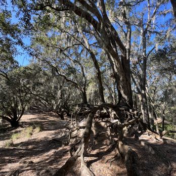 EDWARD MEDARD PARK - Updated September 2025 - 89 Photos & 38 Reviews ...