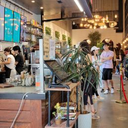 CHATEAU DE CHANTILLY CAFE - Updated August 2025 - 1836 Photos & 677 ...