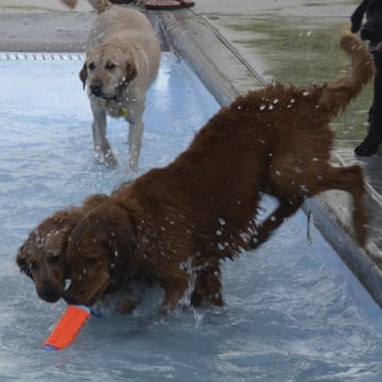 NATATORIUM POOL AND HYDROTUBE - Updated December 2025 - 17 Photos ...