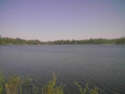 SANILAC COUNTY FORESTER PARK - Updated June 2025 - 2820 N Lakeshore Rd ...