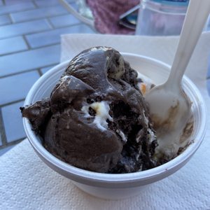 SCOOPS ICE CREAM - Updated July 2024 - 18 Photos & 39 Reviews - 3331 N ...