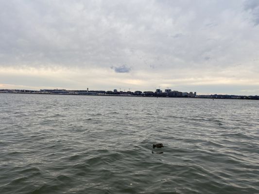 HAINS POINT - Updated December 2025 - 61 Photos & 38 Reviews - 1100 ...
