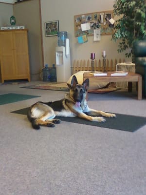 CAMP RUFF HOUSE - Updated December 2025 - 14 Reviews - 3923 88th St NE ...