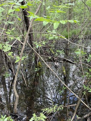 CARPENTER LAKE NATURE PRESERVE - 145 Photos & 41 Reviews - 10 Mile Rd ...