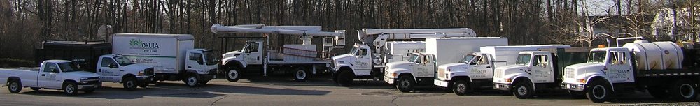 OKULA TREE CARE - Updated July 2025 - Center Moriches, New York - Tree ...