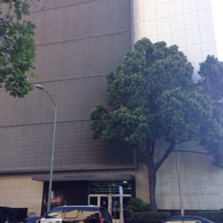 WILEY W MANUEL COURTHOUSE - 24 Photos & 71 Reviews - Courthouses - 661 ...