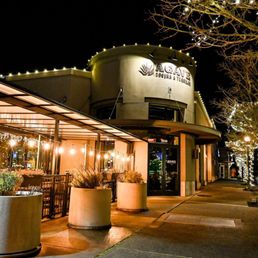 AGAVE COCINA & TEQUILA - Updated October 2025 - 287 Photos & 507 ...