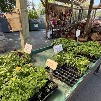 SNOW GOOSE PRODUCE - TEMP. CLOSED - Updated December 2025 - 486 Photos ...