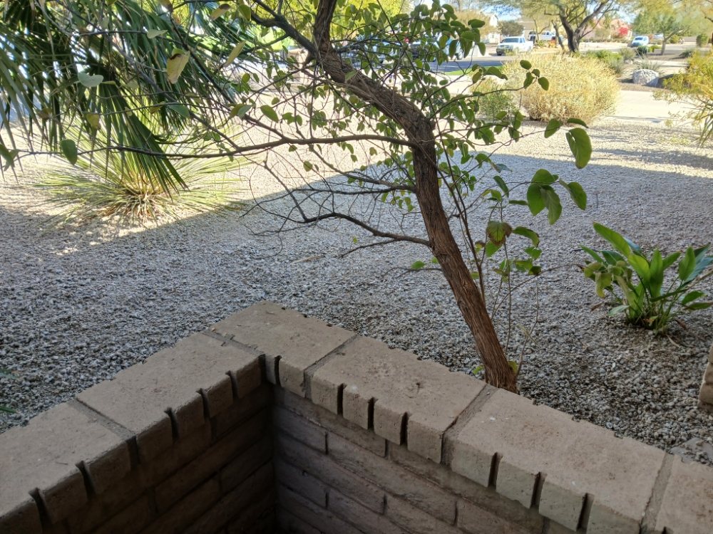 RESLER ROCK & GRAVEL - Updated November 2025 - 13 Photos - 19553 W ...