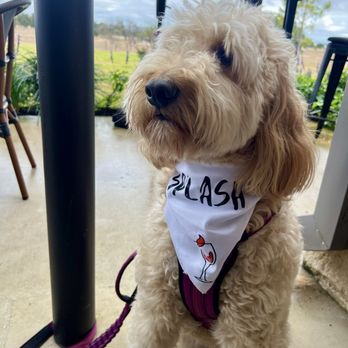 HALTER RANCH - Updated December 2025 - 77 Photos & 25 Reviews - 8561 US ...