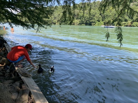 COMMONS FORD RANCH METROPOLITAN PARK - Updated May 2024 - 86 Photos ...