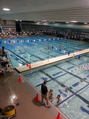 ARUNDEL OLYMPIC SWIM CENTER - Updated September 2025 - 14 Reviews ...