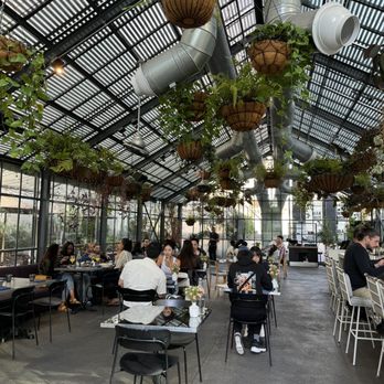 OPENAIRE - 2966 Photos & 1603 Reviews - 3515 Wilshire Blvd, Los Angeles ...