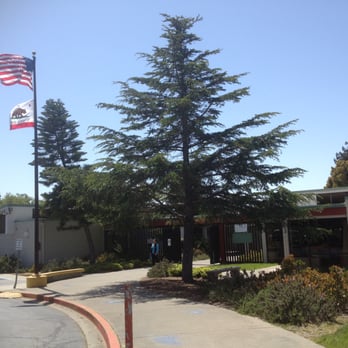 OCEAN VIEW ELEMENTARY SCHOOL - Updated August 2025 - 13 Photos - 1000 ...