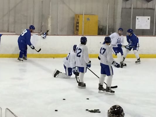 PINEY ORCHARD ICE ARENA - Updated December 2025 - 12 Reviews - 8781 ...