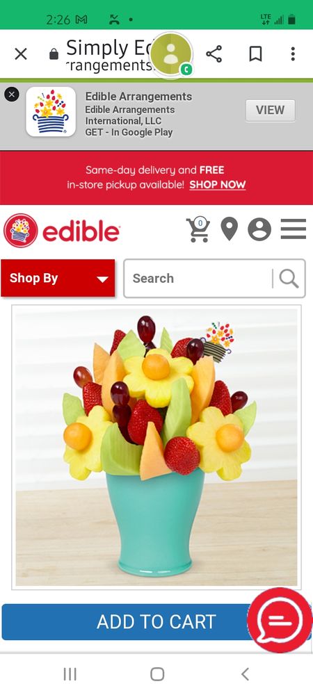 Edible Arrangements Marietta Ga