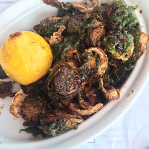 ZOOROONA - 164 Photos & 158 Reviews - Middle Eastern - 1710 W Main St ...
