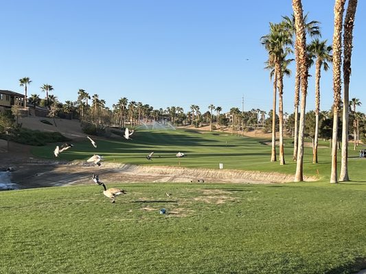 CHIMERA GOLF CLUB - Updated August 2025 - 128 Photos & 178 Reviews ...
